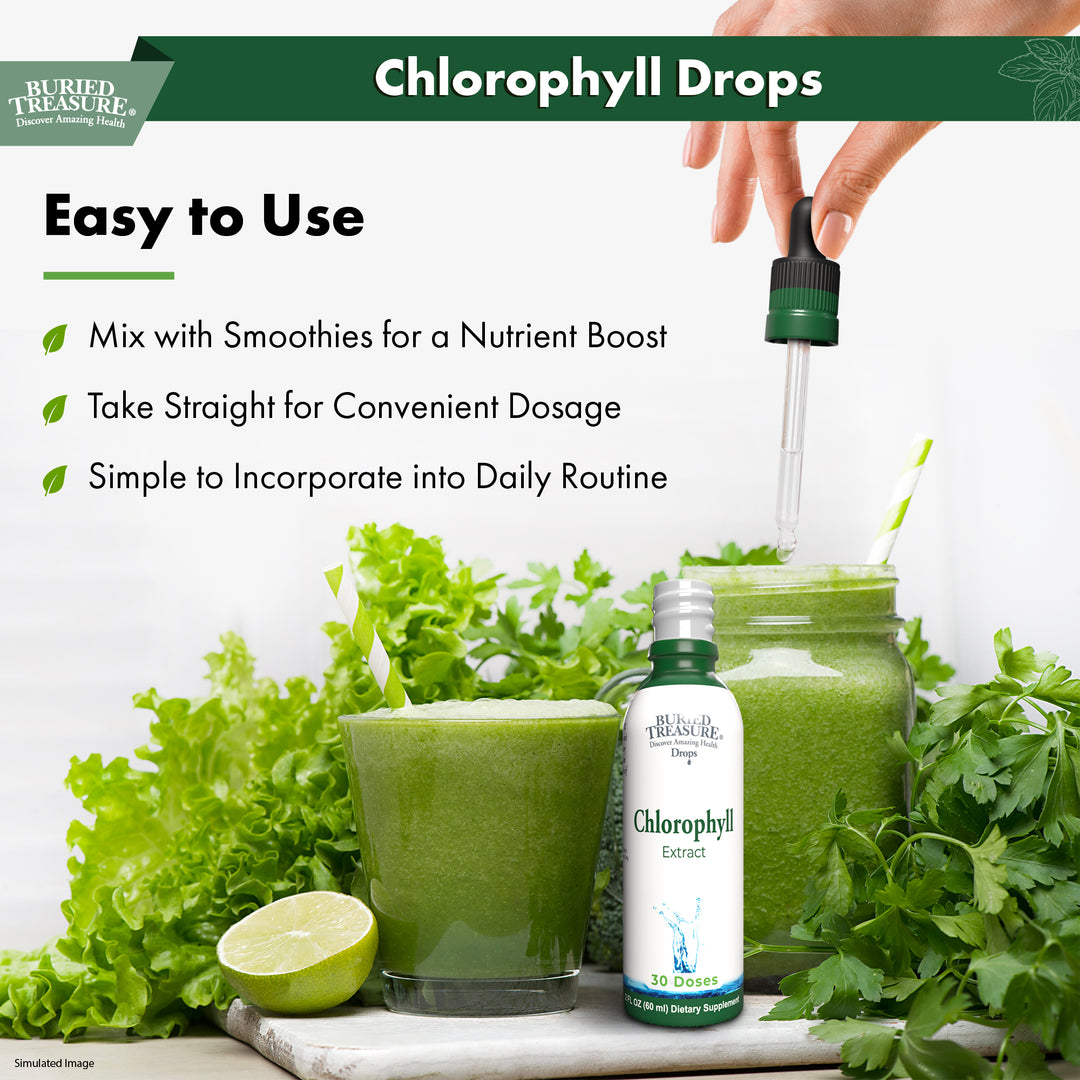 Chlorophyll Drops – Liquid Herbal Supplement with 50mg per Serving ...