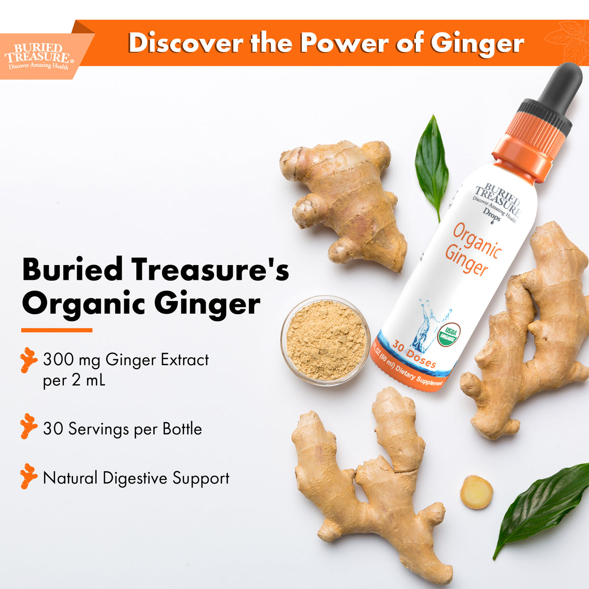 Organic Ginger Drops (Alcohol-Free) | Buried Treasure Liquid Nutrients